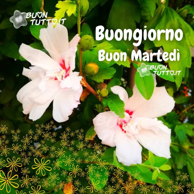 Immagini di Buon Martedì - BuonTutto
