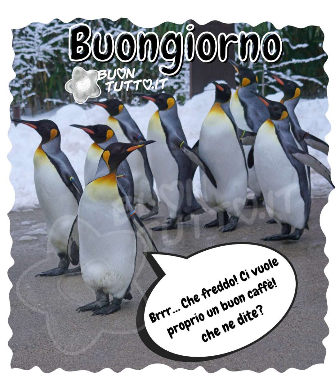 Immagini di Buongiorno Invernale - BuonTutto.it