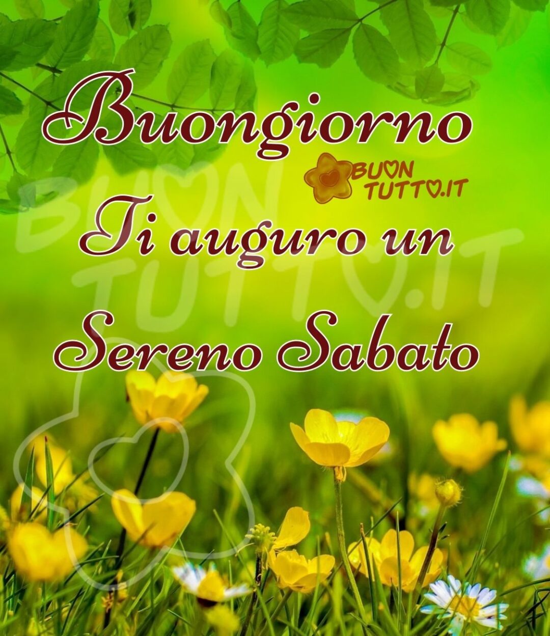 Immagini di Buon Sabato - BuonTutto