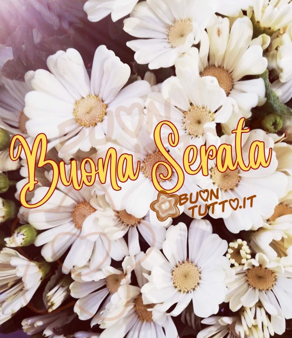 Immagini Di Buona Serata Benvenuti Sul Sito Di BuonTutto it